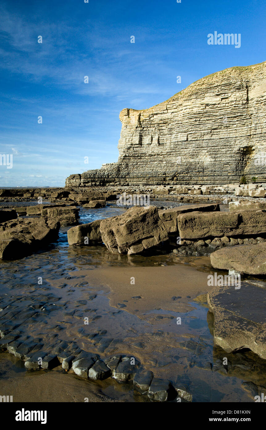 Lias limestone cliffs cwm nash hi-res stock photography and images - Alamy