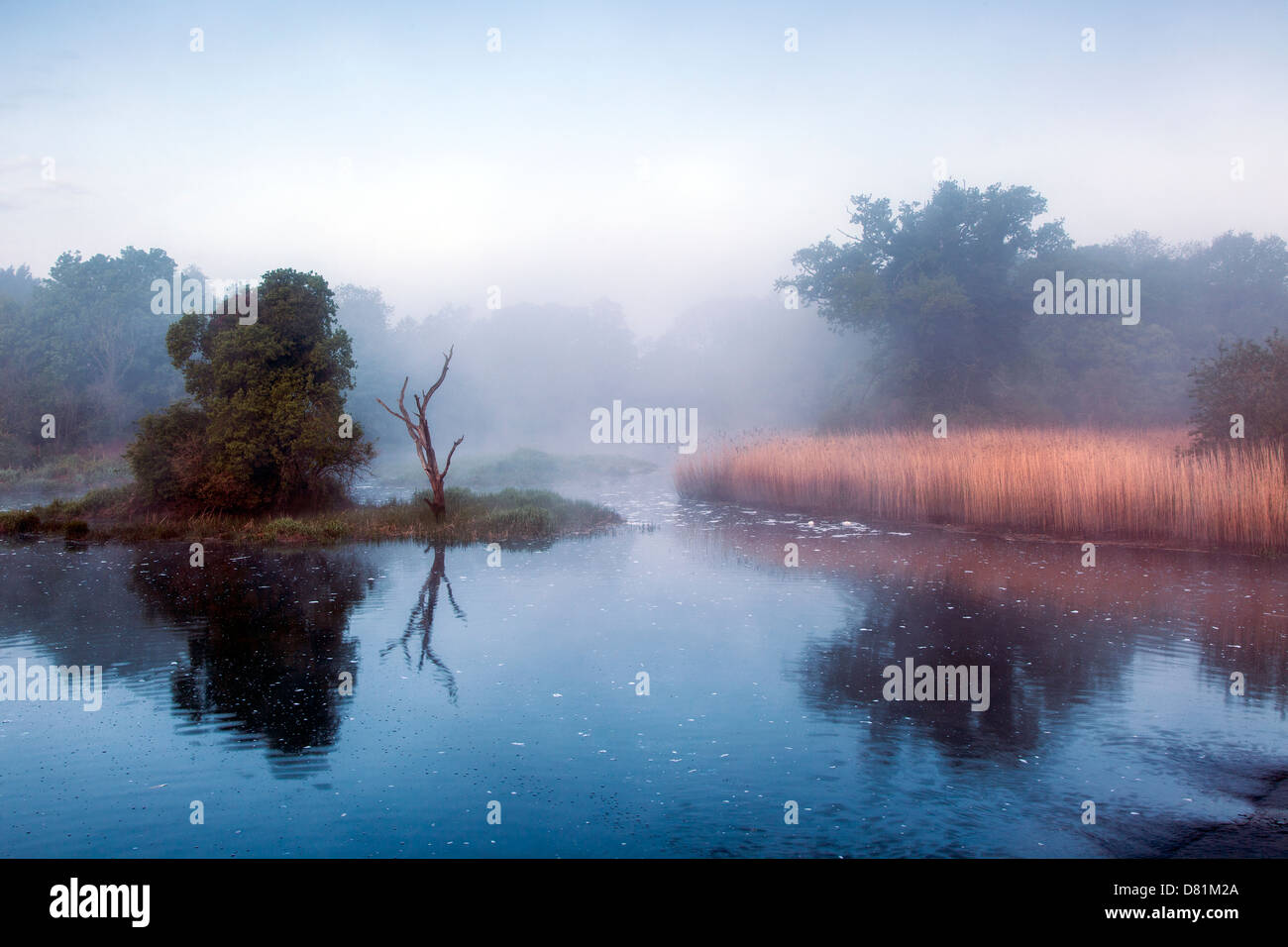 Misty Dawn at Beeleigh Falls Stock Photo - Alamy