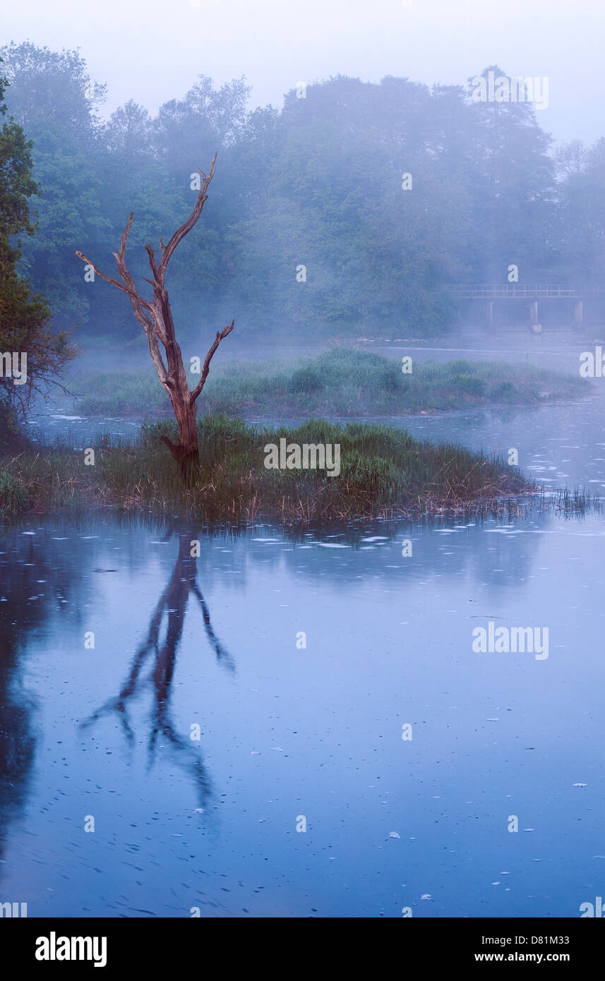 Stump of Dead Tree on Small Island at Tidal Reach Beeleigh Falls Stock ...