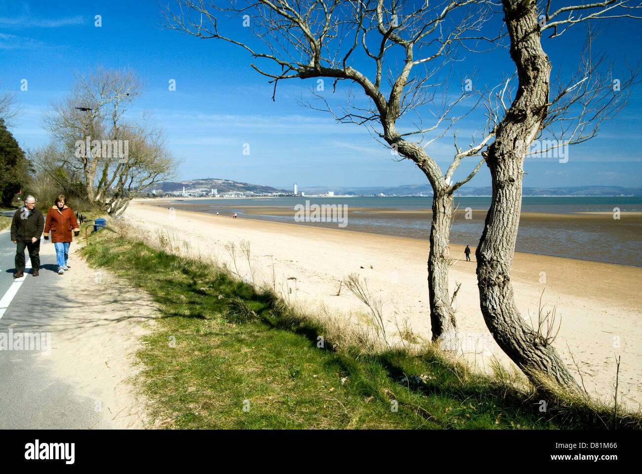 beach swansea bay south wales Stock Photo - Alamy