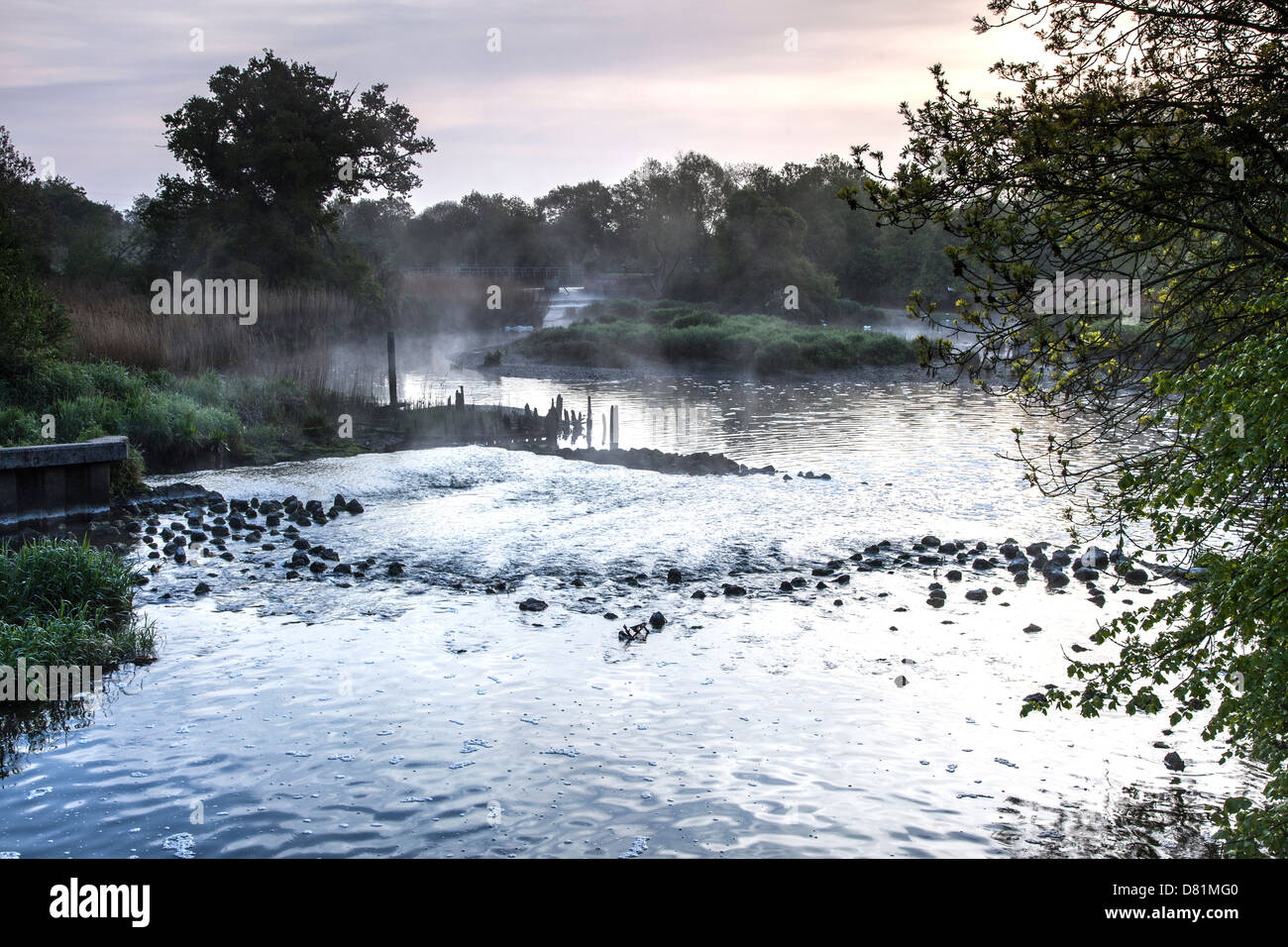 Beeleigh hi-res stock photography and images - Alamy