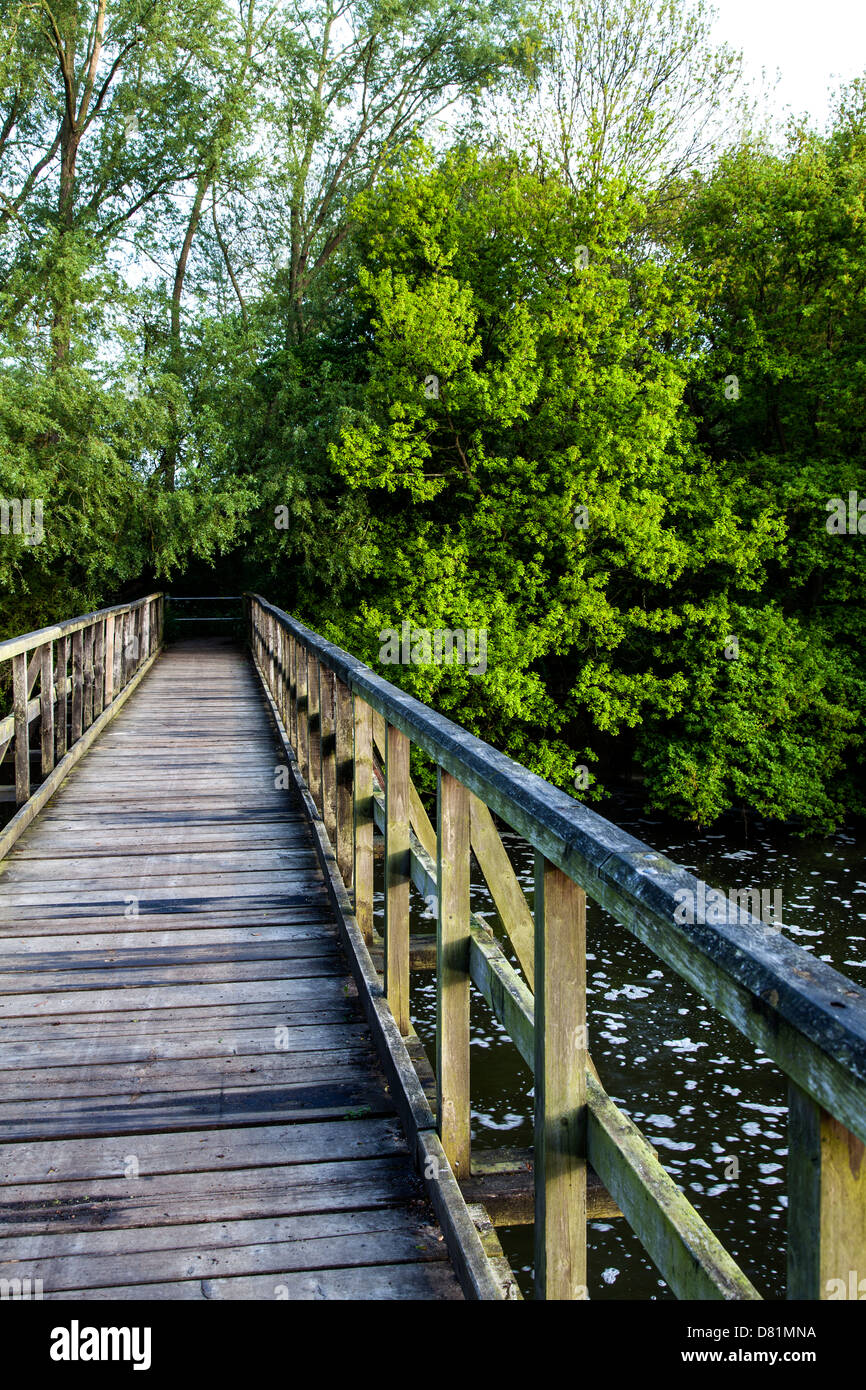 Footbridge Across Beeleigh Falls Stock Photo - Alamy