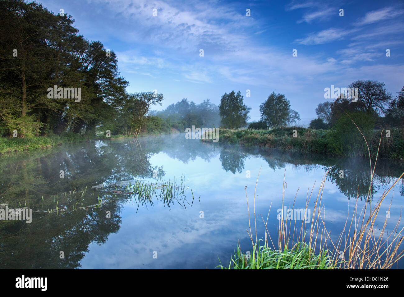Chelmer and Blackwater Navigation Stock Photo - Alamy