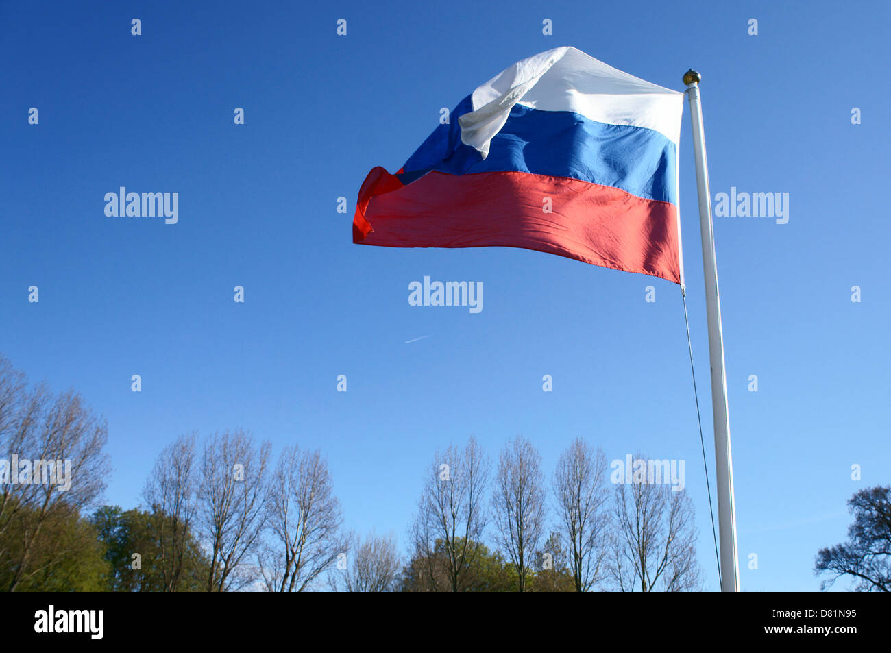 Russian Flag 1800s