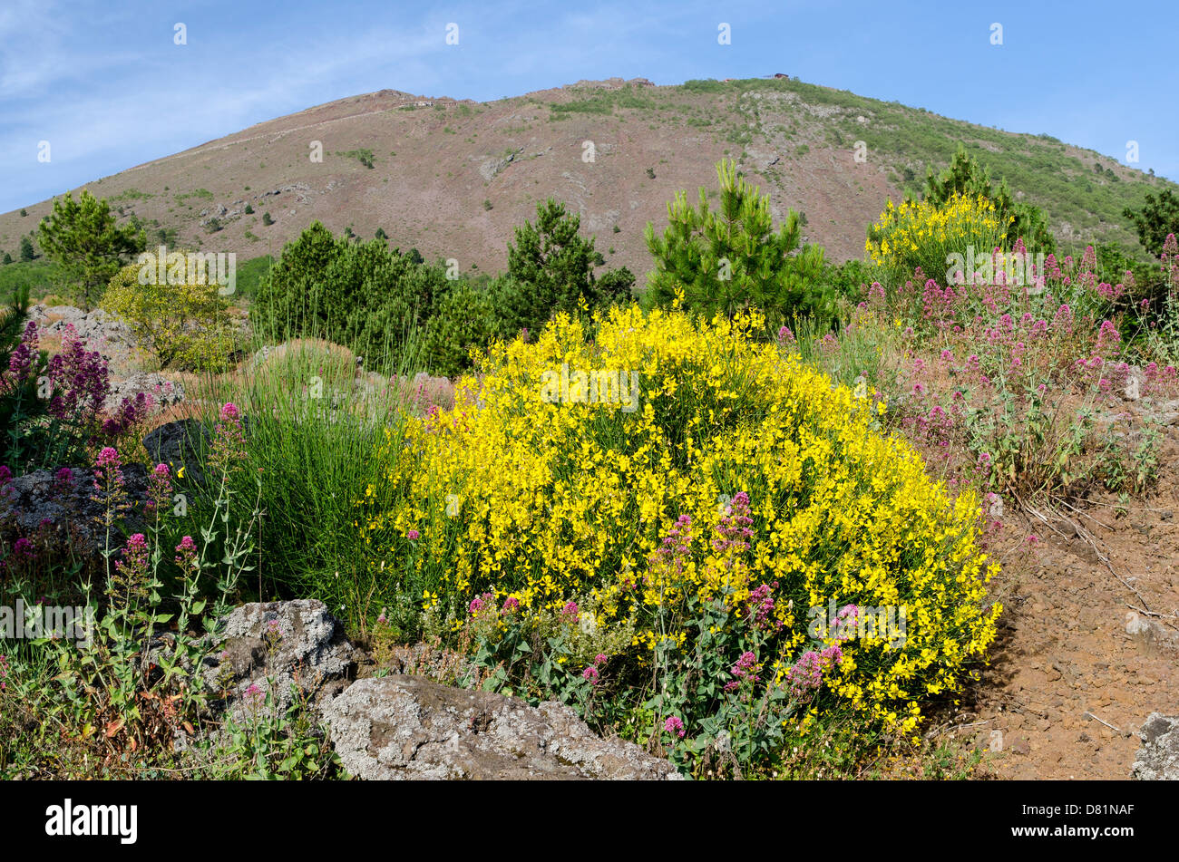 Vesuvius national park hi-res stock photography and images - Alamy