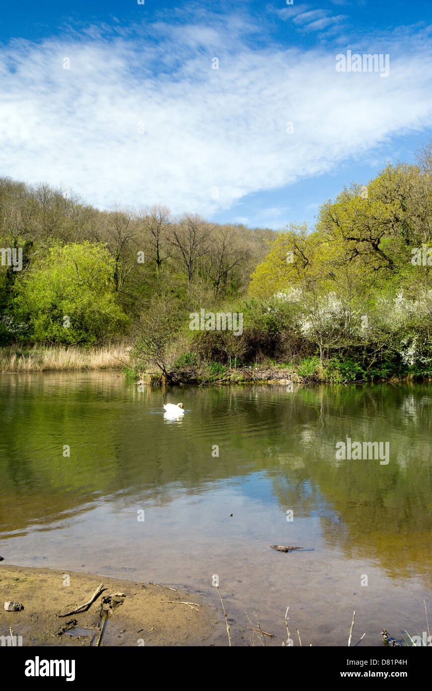 Calm swan river hi-res stock photography and images - Alamy