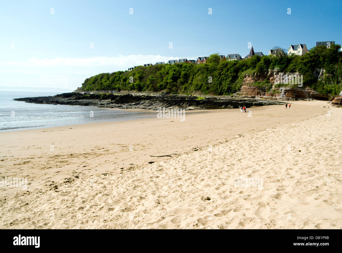 Can Dogs Go On Barry Island Beach