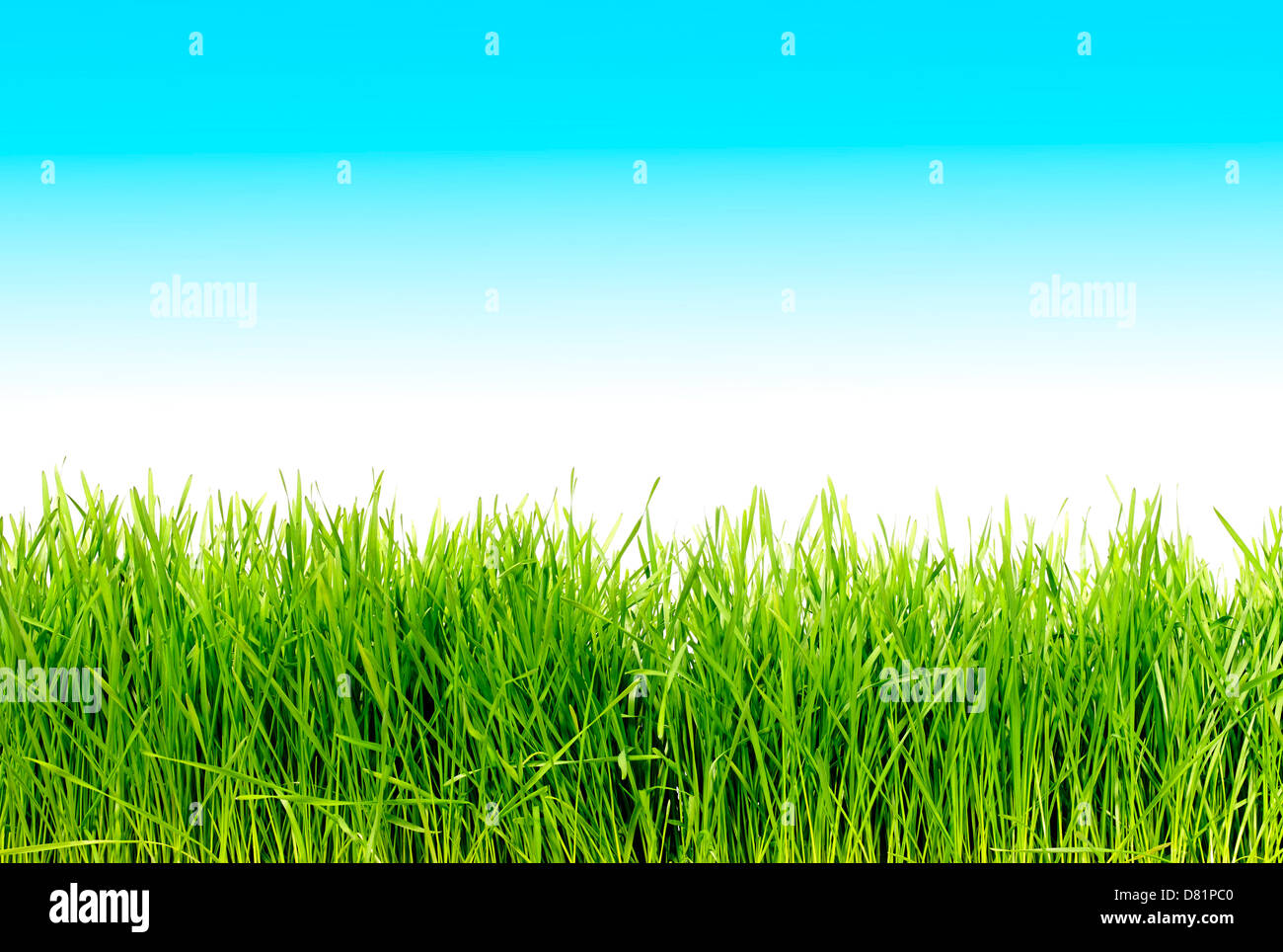 Blades of long grass hi-res stock photography and images - Alamy