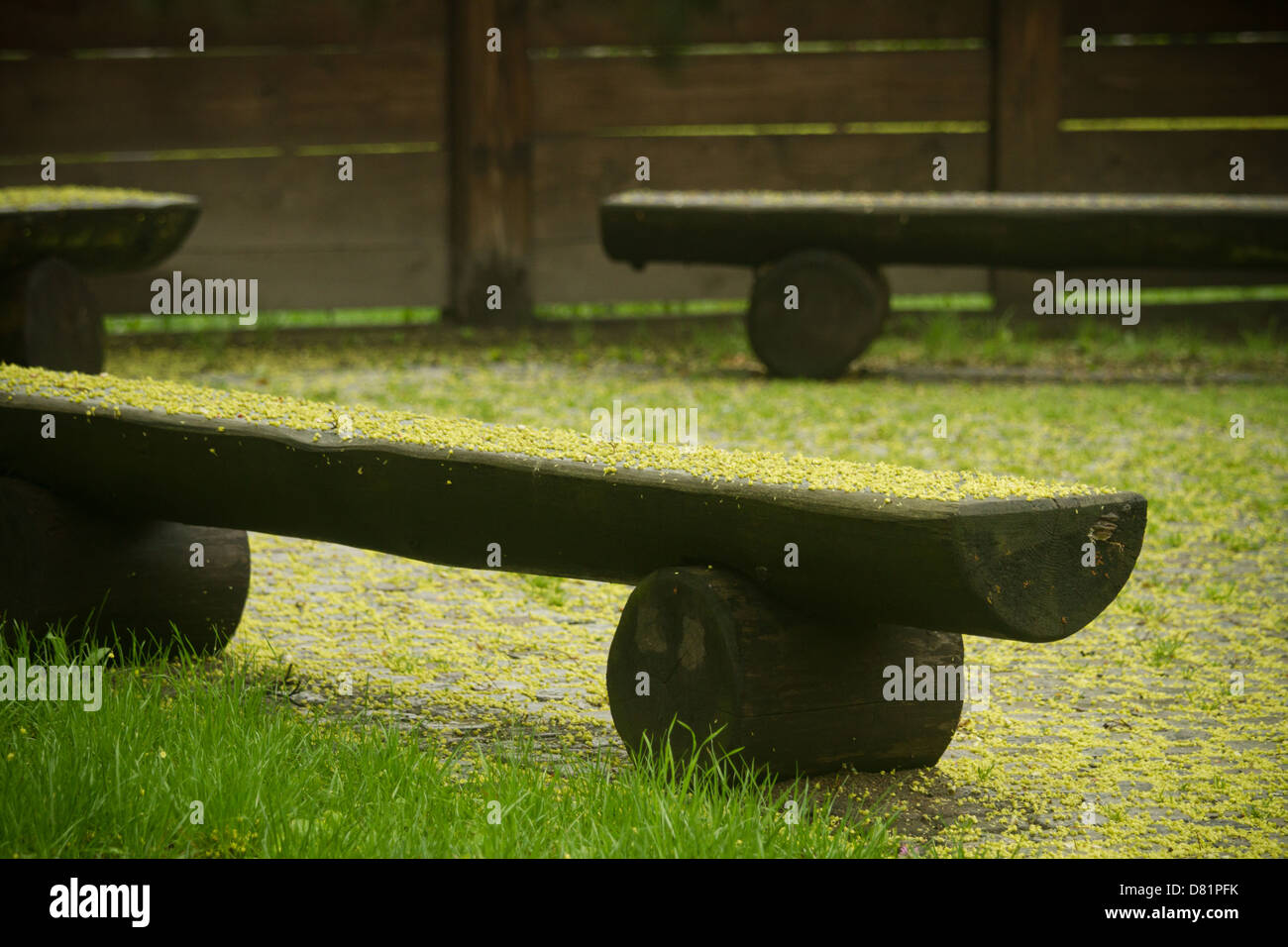 Massive log hi-res stock photography and images - Alamy