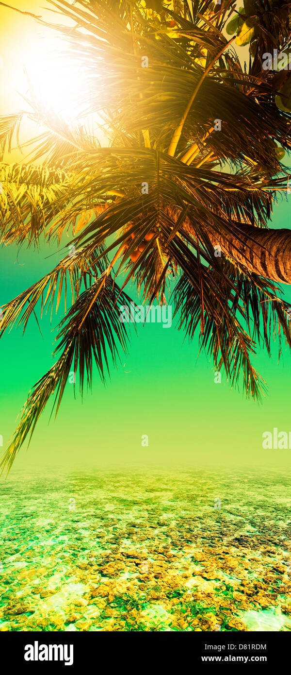 Tropical sunset. Vertical panorama Stock Photo - Alamy