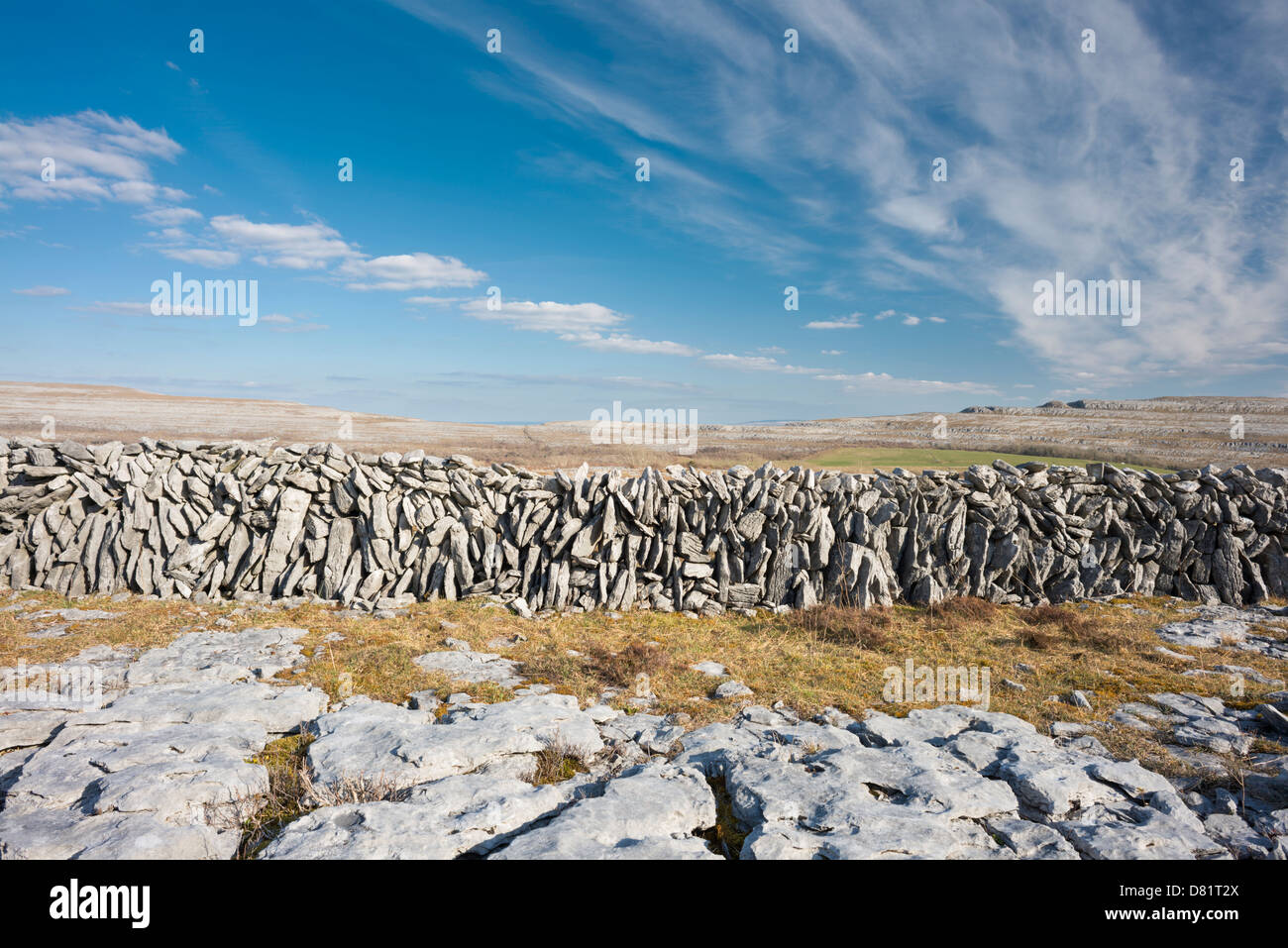 Limestone pavement and stone wall at Keelhilla National Nature Reserve ...