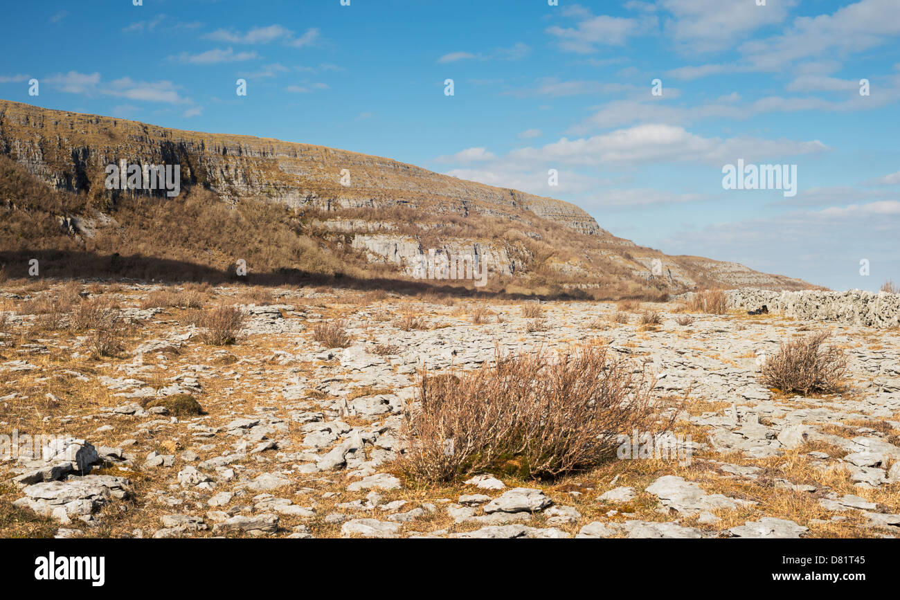 Limestone pavement in front of Slieve Carran at Keelhilla National ...