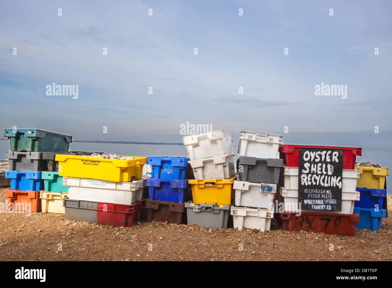Oyster shell recycling boxes Stock Photo - Alamy