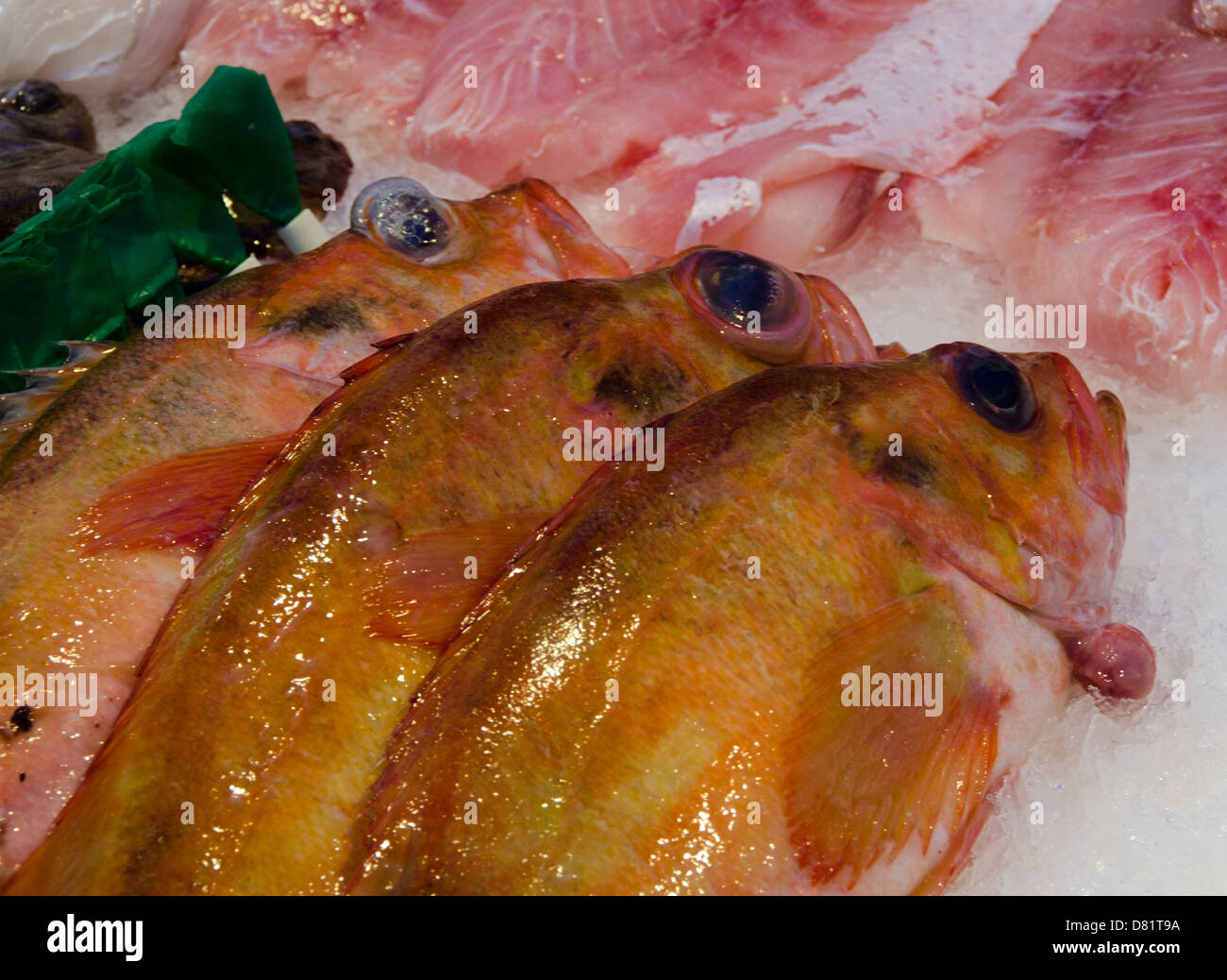 Redfish for sale in market Stock Photo - Alamy