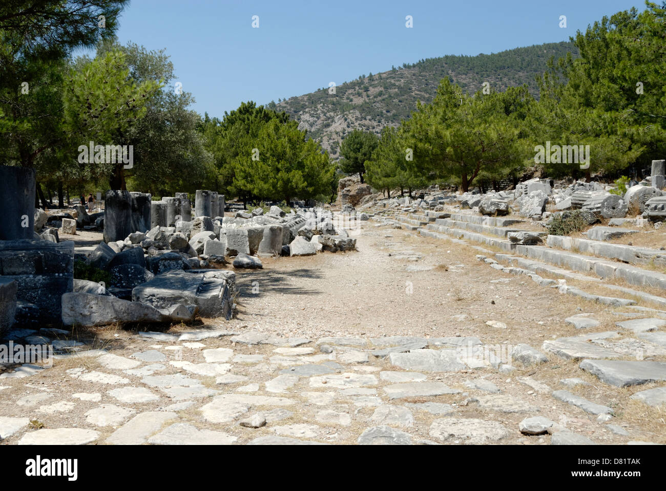 Priene. Turkey. View along the West Gate Street in the ancient Greek ...