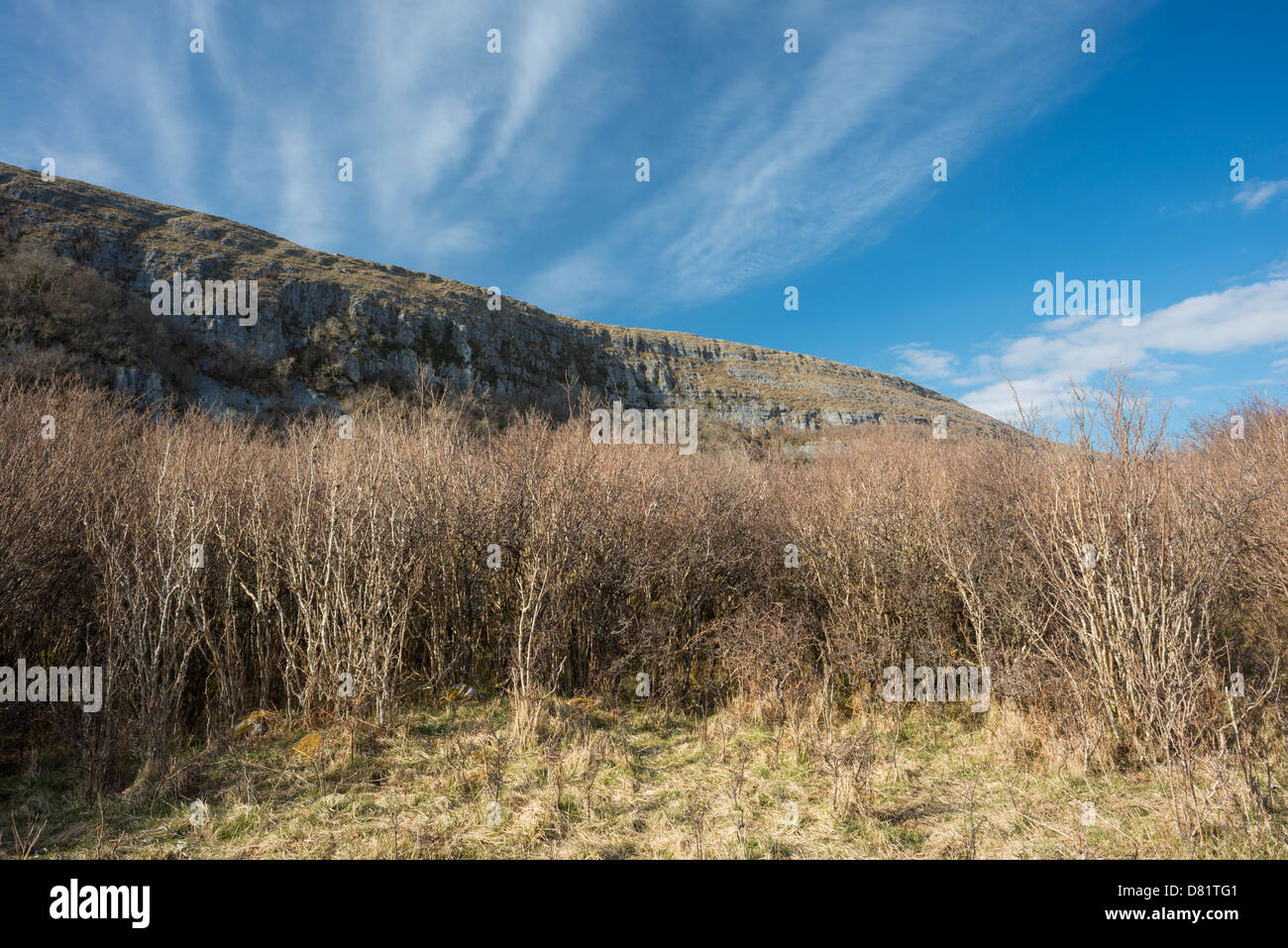 Hazel scrub in early spring at Keelhilla National Nature Reserve, the ...