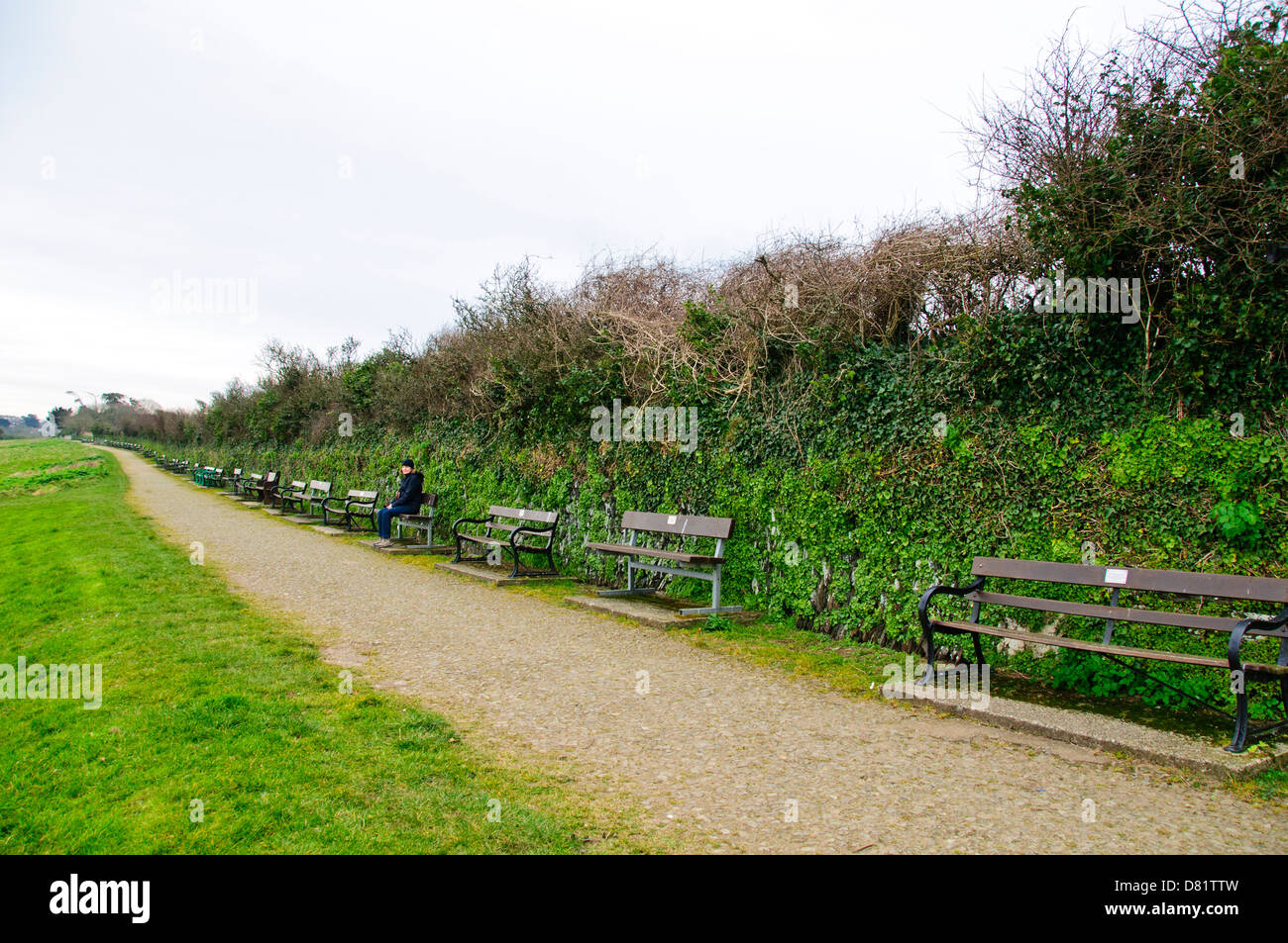 Padstow,Fishing Village,Memorial Benches with views of Padstow Estuary ...