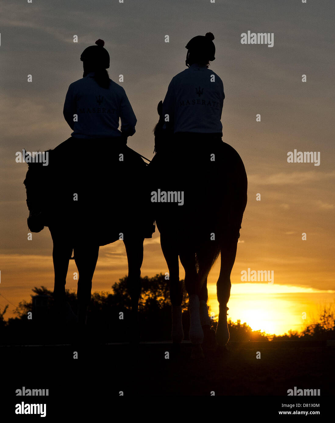 Baltimore, Maryland, USA. 17th May 2013. Kentucky Derby winner Orb ...