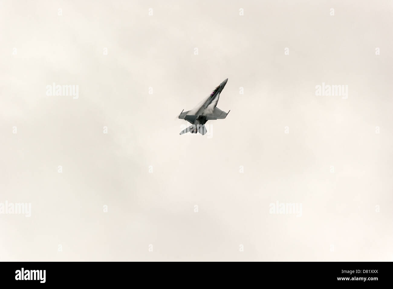 An F/A-18 fighter jet goes through its paces at an air show in ...