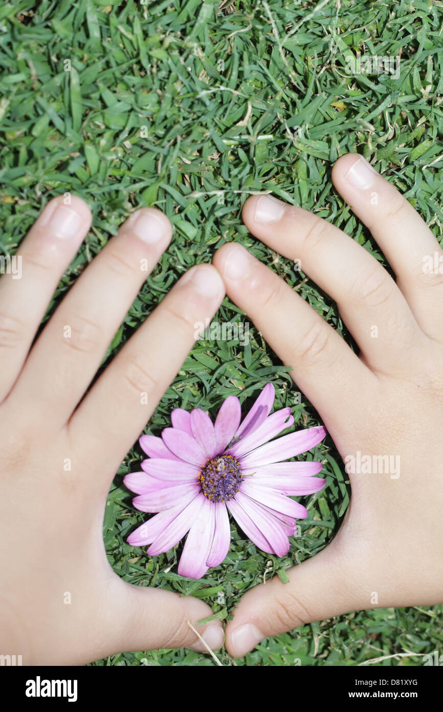 Hands flower hi-res stock photography and images - Alamy