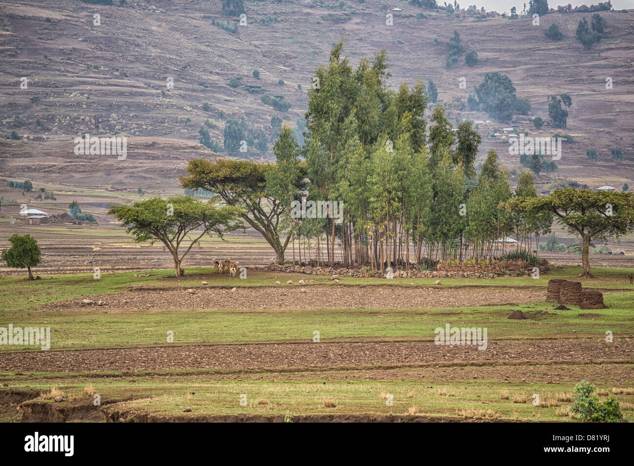Bottom of a hill hi-res stock photography and images - Alamy