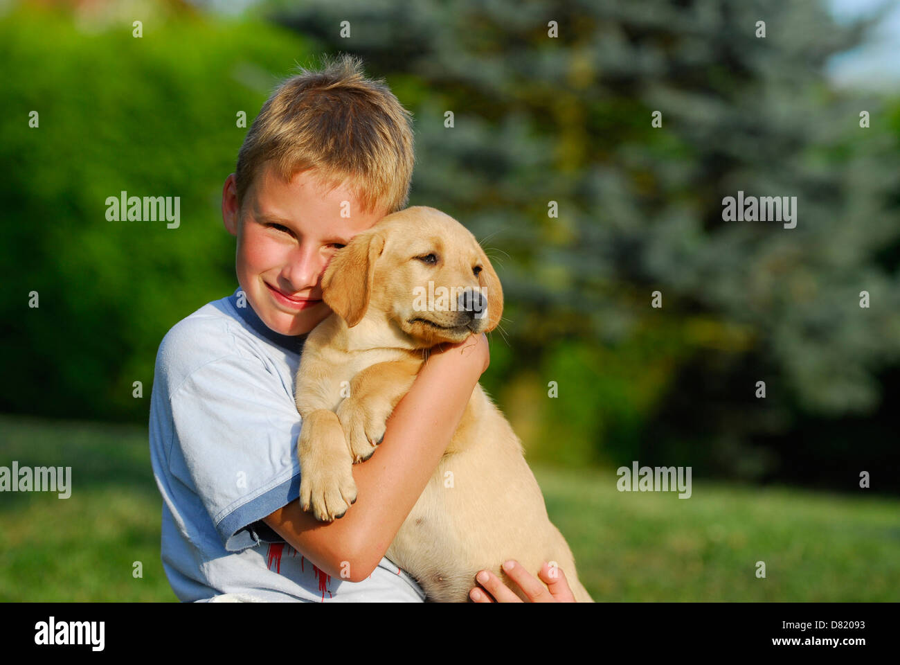 boy with labrador retriever puppy Stock Photo - Alamy