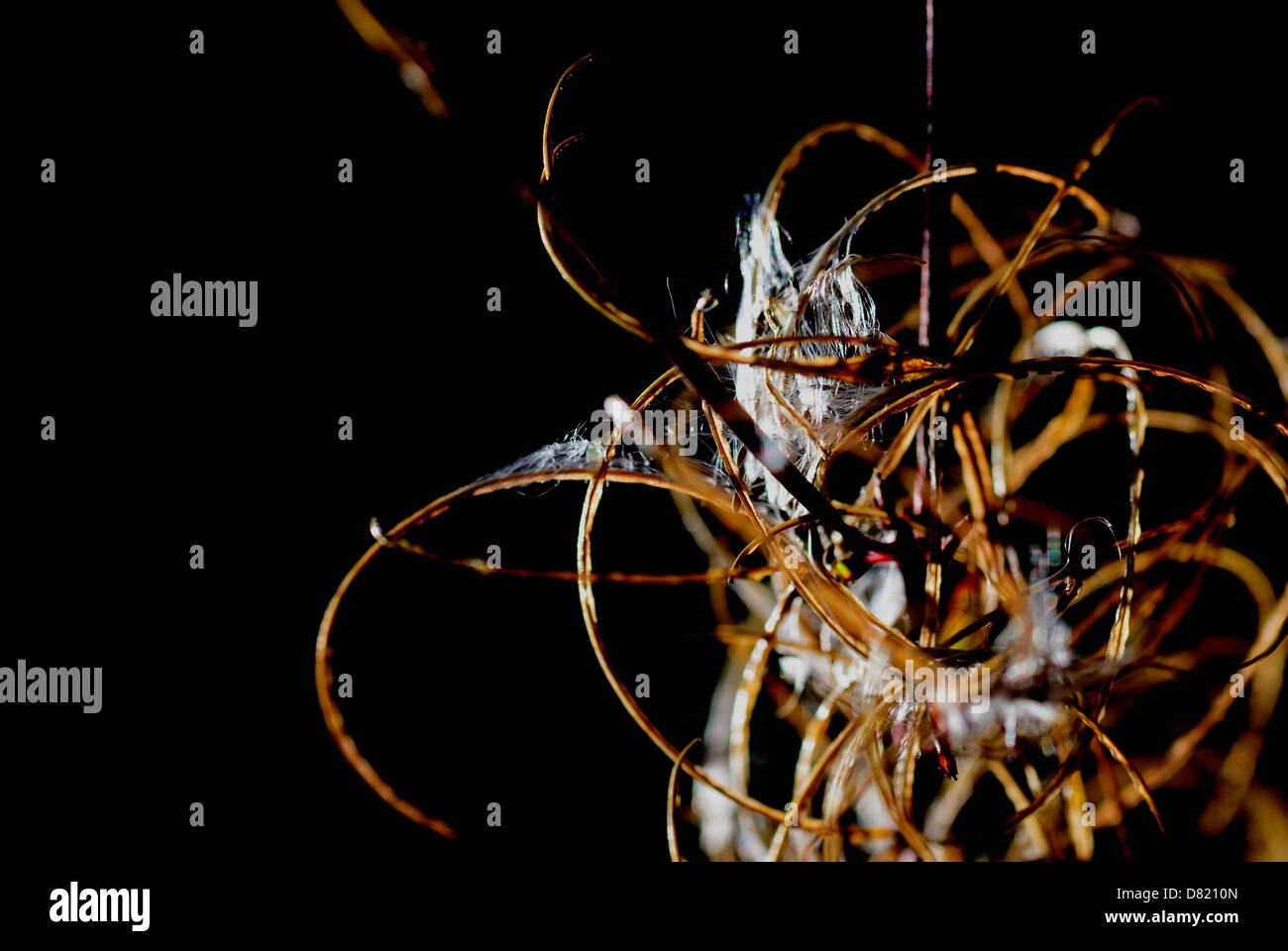 Dead weeds hi-res stock photography and images - Alamy