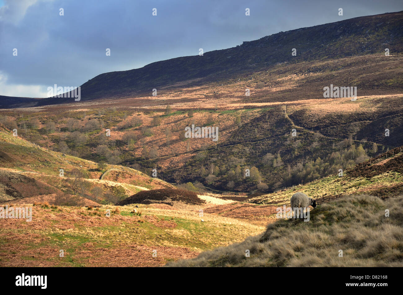Howden moor hi-res stock photography and images - Alamy