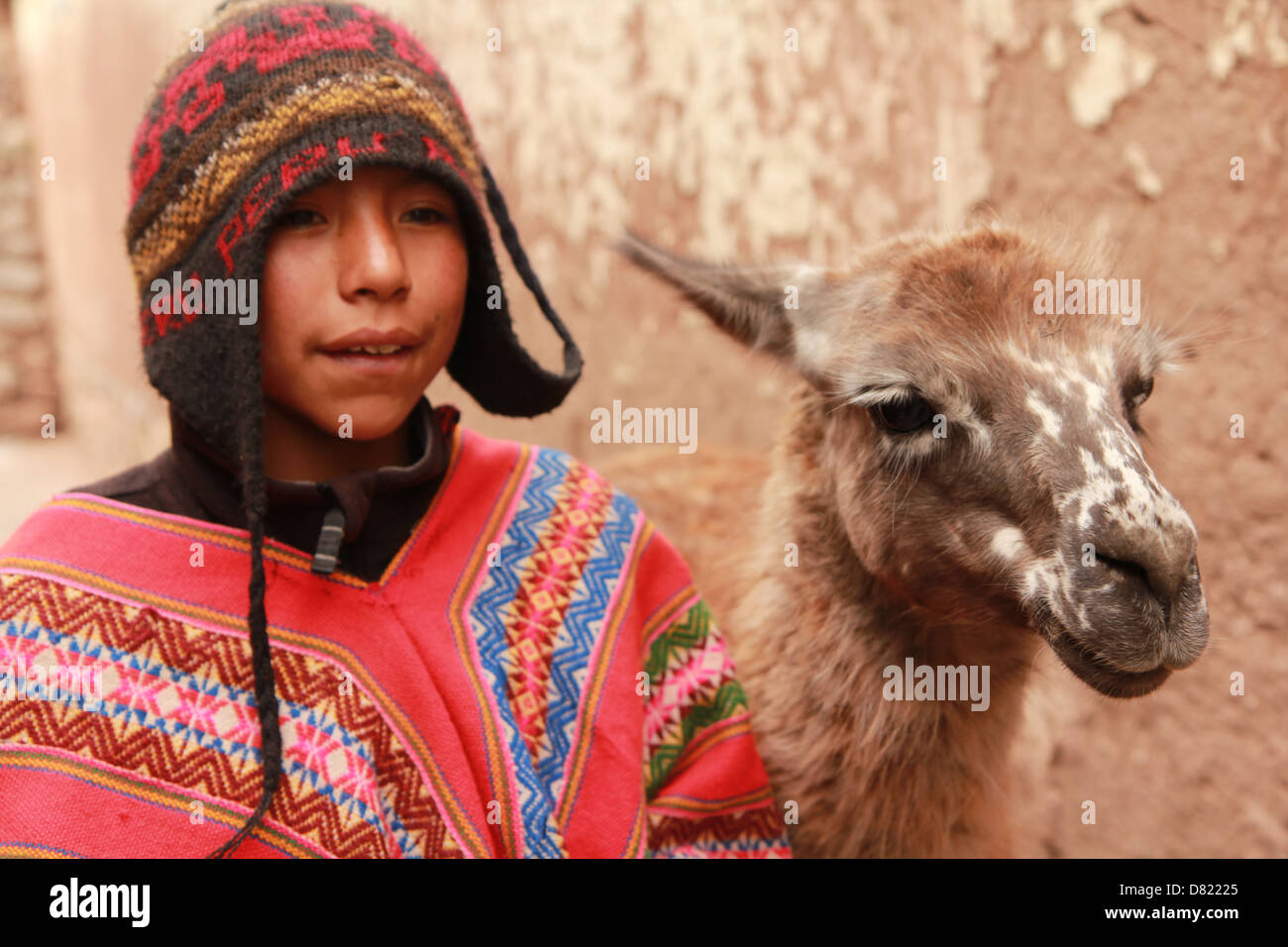 Andean boy llama hi-res stock photography and images - Alamy