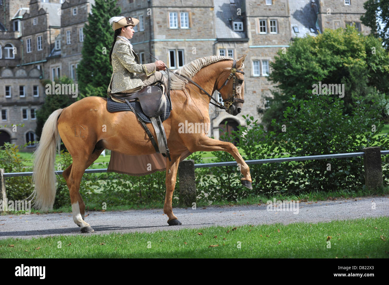 Pillion saddle horse hi-res stock photography and images - Alamy
