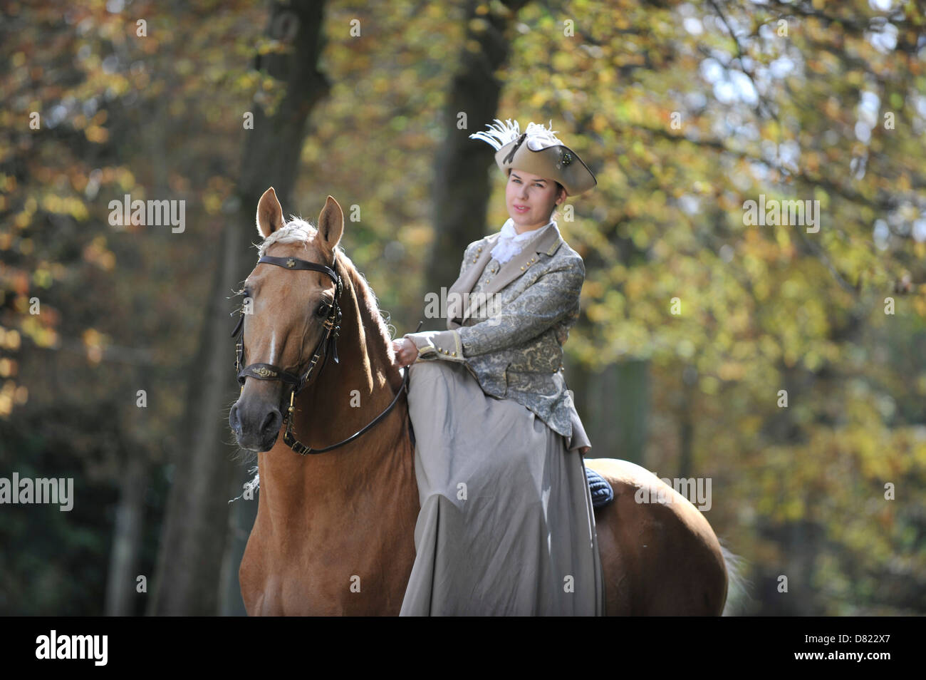 Pillion saddle horse hi-res stock photography and images - Alamy