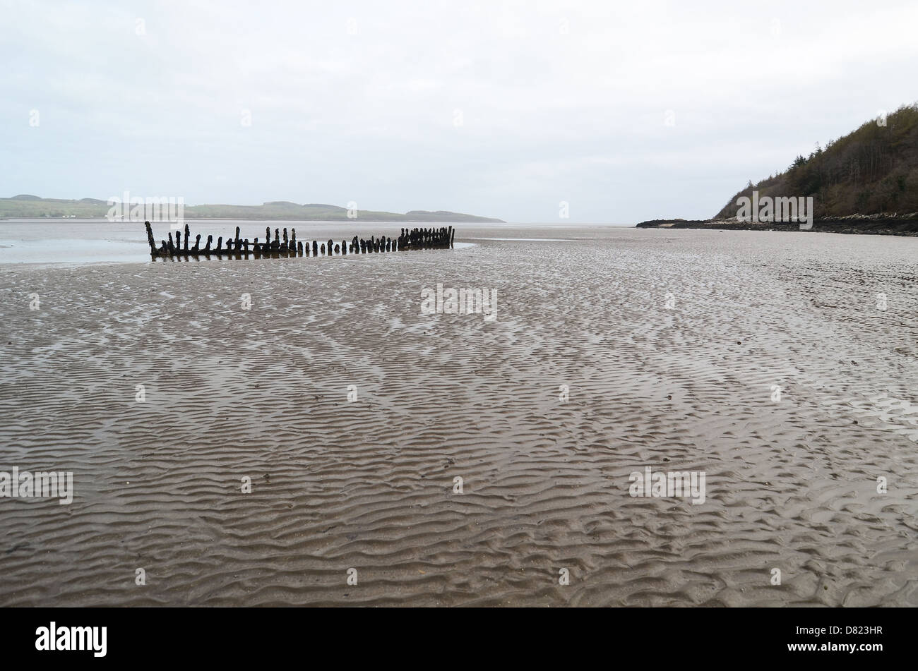 The remains of the schooner Monreith, which sank in Kirkcudbright Bay ...