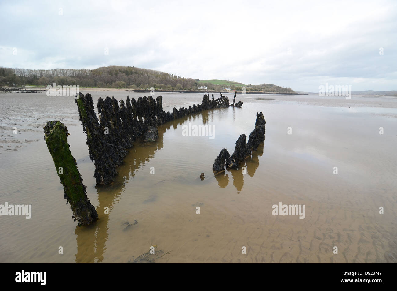 The remains of the schooner Monreith, which sank in Kirkcudbright Bay ...