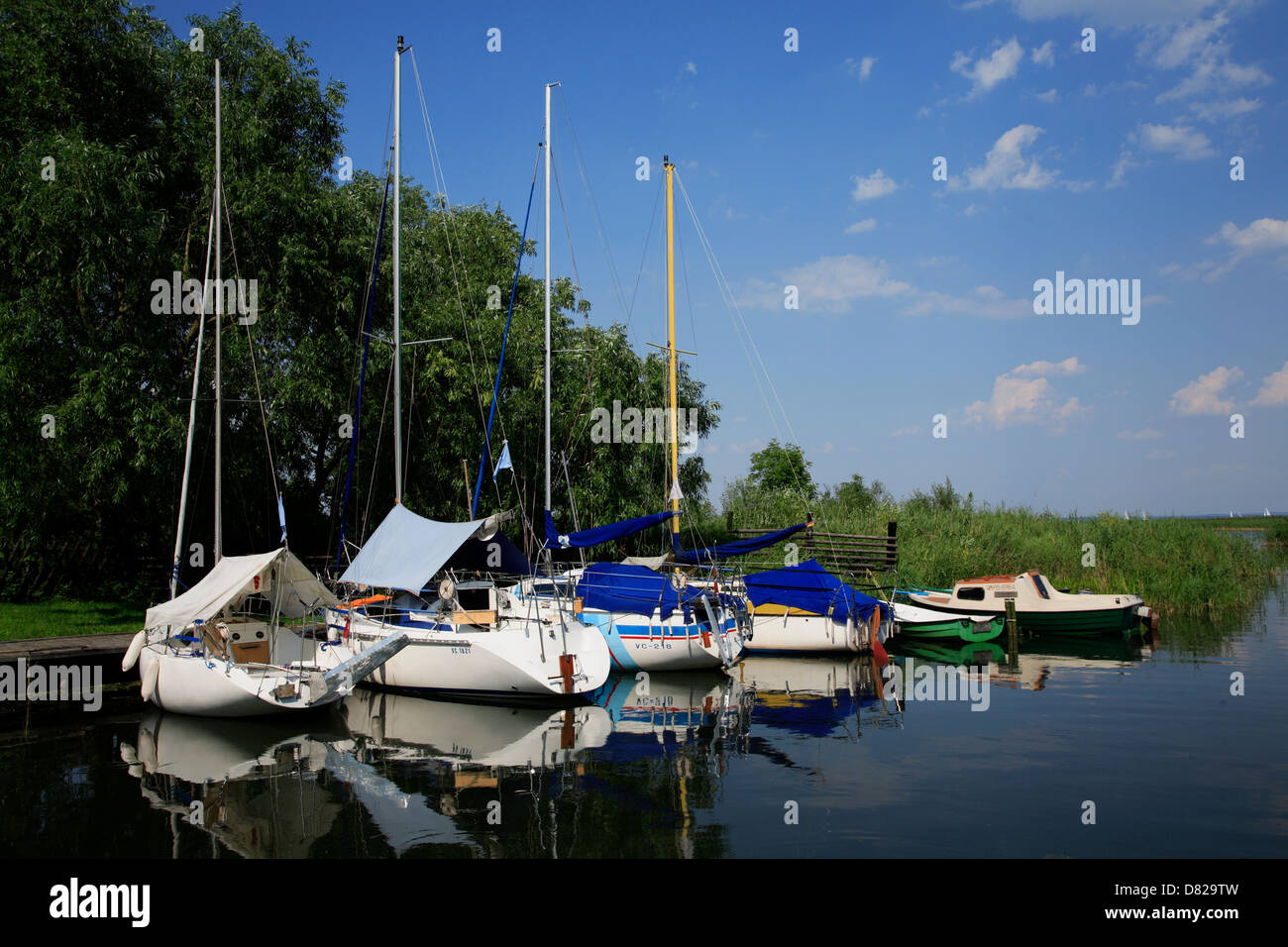 Sailing boats in little bay at lake Sniardwy at Popielno, POLEN, Masury ...