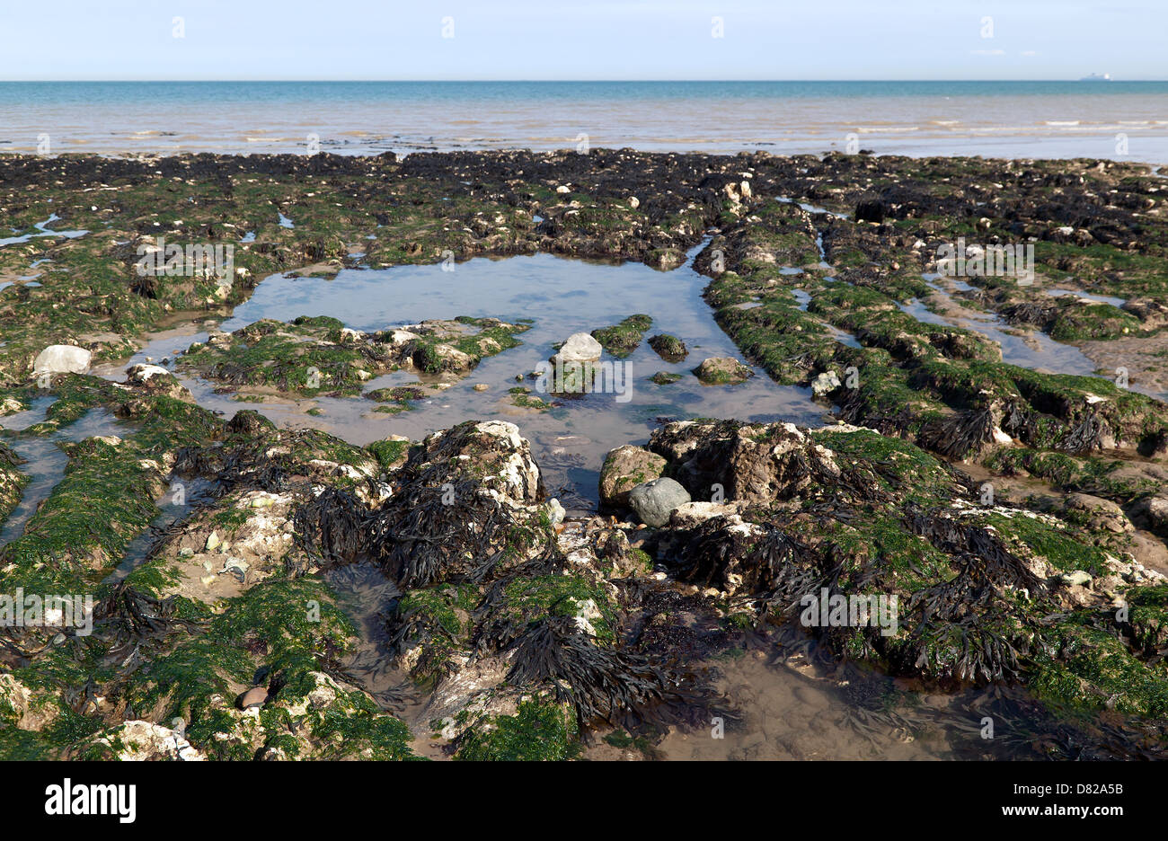 Rock pools hi-res stock photography and images - Alamy