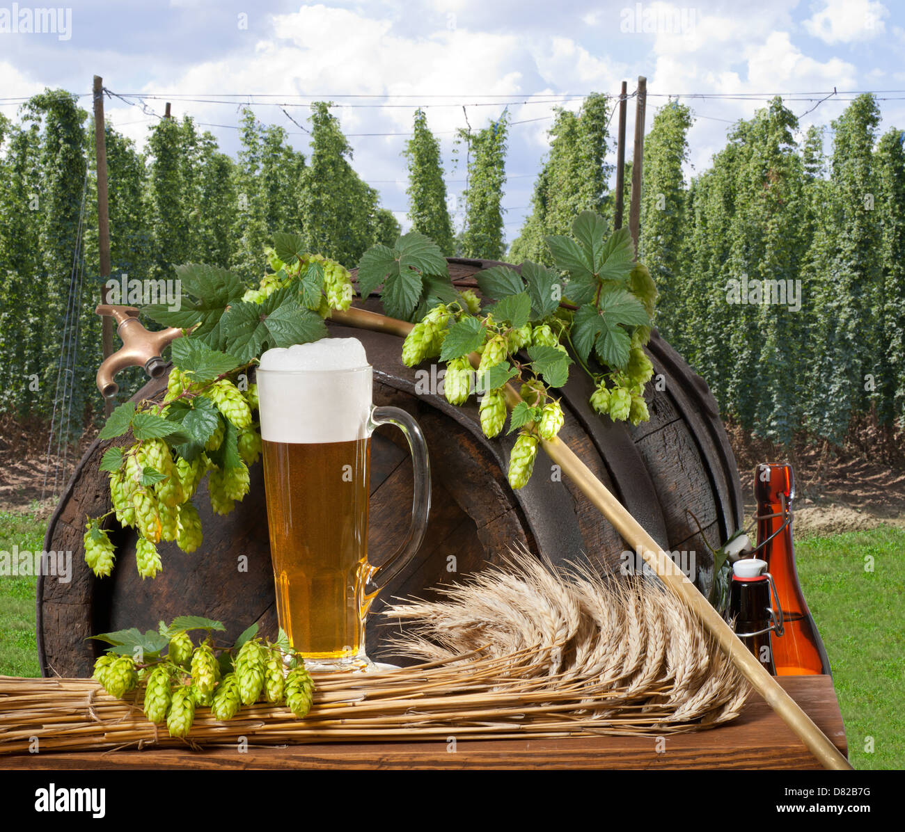 Beer glass full of barley hi-res stock photography and images - Alamy