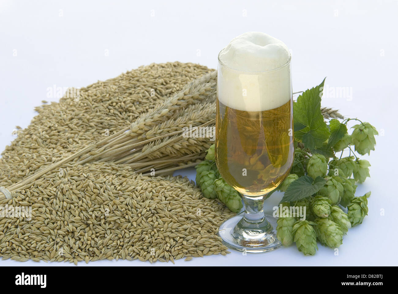 Beer grain hi-res stock photography and images - Alamy