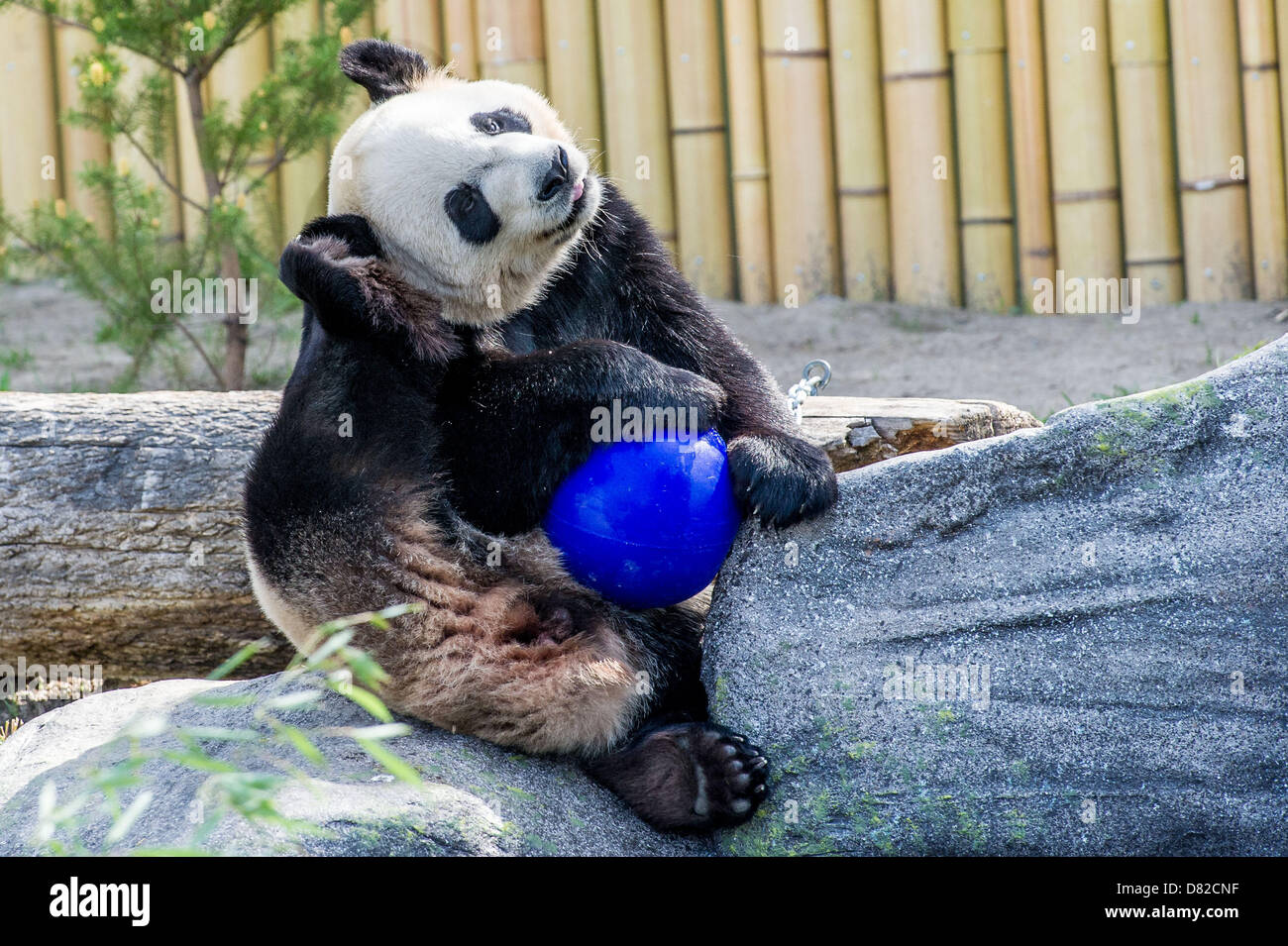 Li er hi-res stock photography and images - Alamy