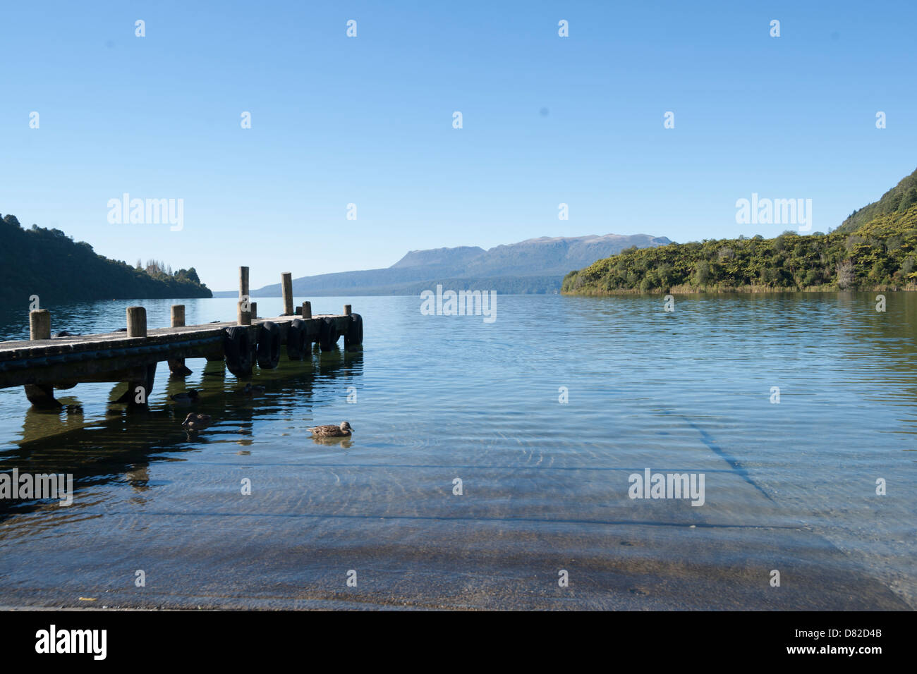 Jetty into Lake Tarawera with the mount at end of lake Stock Photo - Alamy