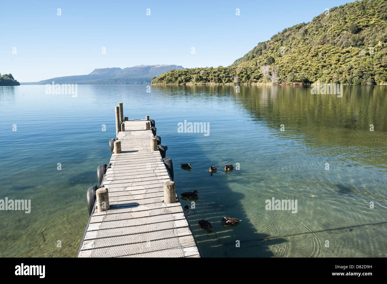 Lake Tarawera jetty Stock Photo - Alamy