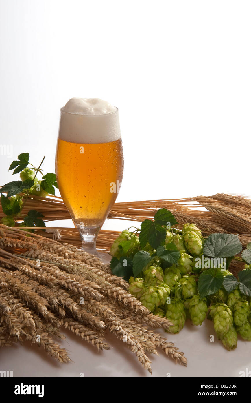 Beer glass pint alcohol hop hops barley hi-res stock photography and ...