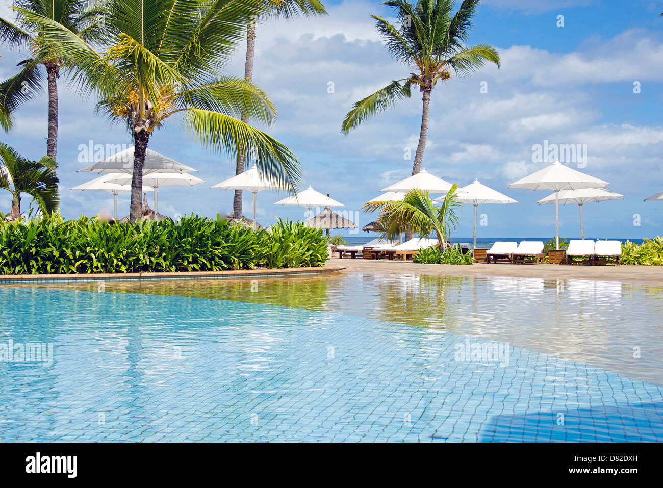 Beautiful swimming pool with morning sun in the tropics Stock Photo - Alamy