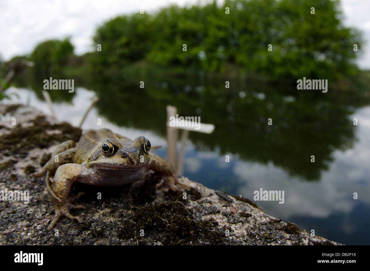 Next to canal hi-res stock photography and images - Alamy