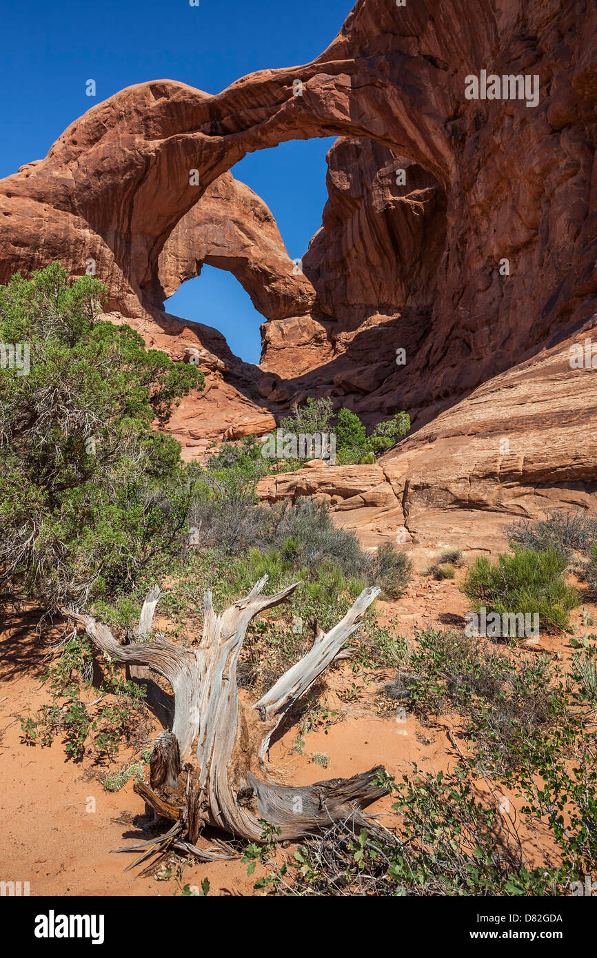 Double arch window hi-res stock photography and images - Alamy