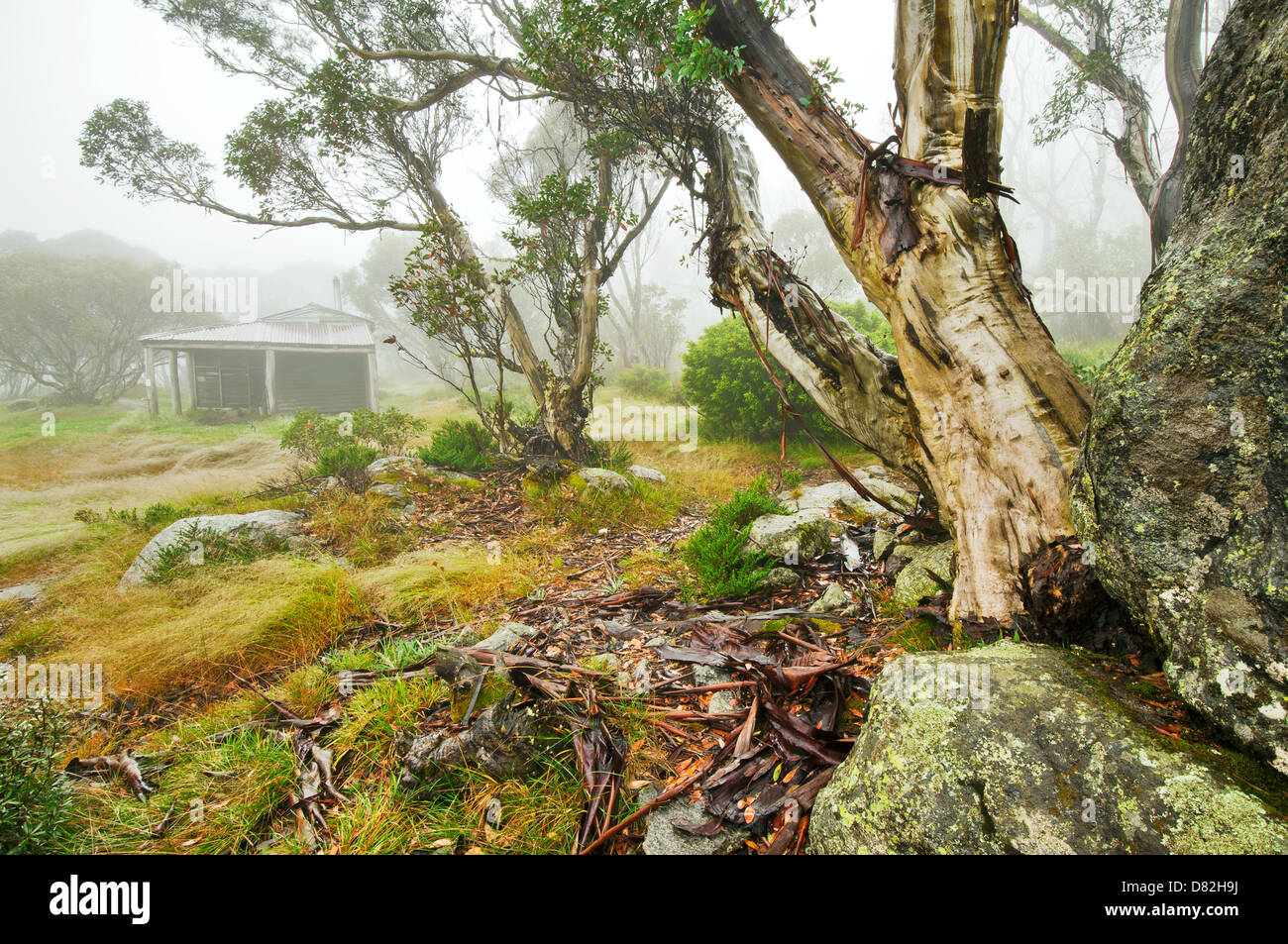 Pretty Valley Hut in the High Country of Victoria Stock Photo - Alamy