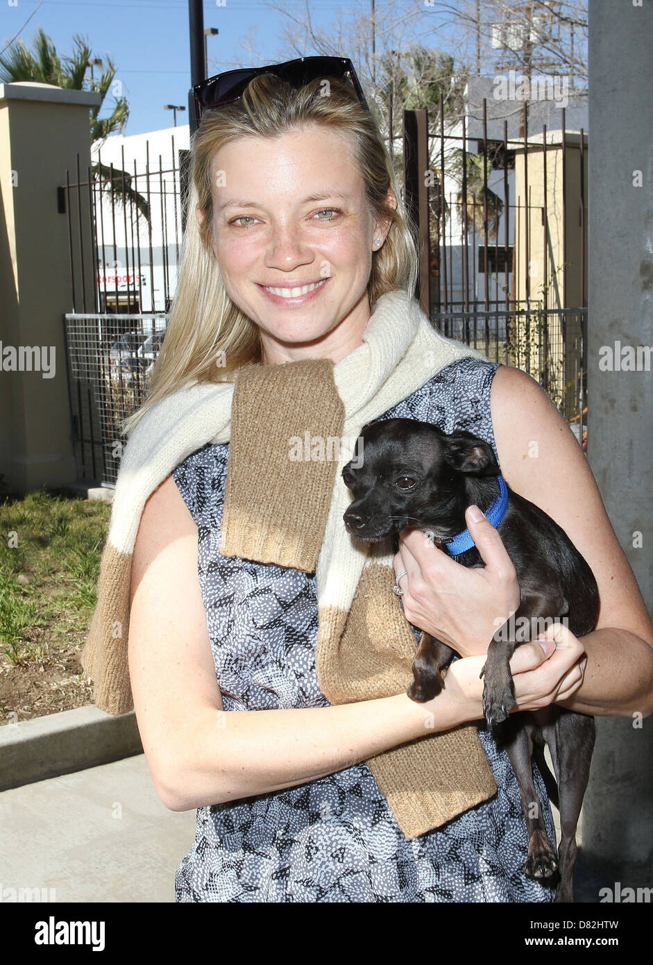 Amy Smart Best Friends Animal Society Pet Adoption and Spay/Neuter ...