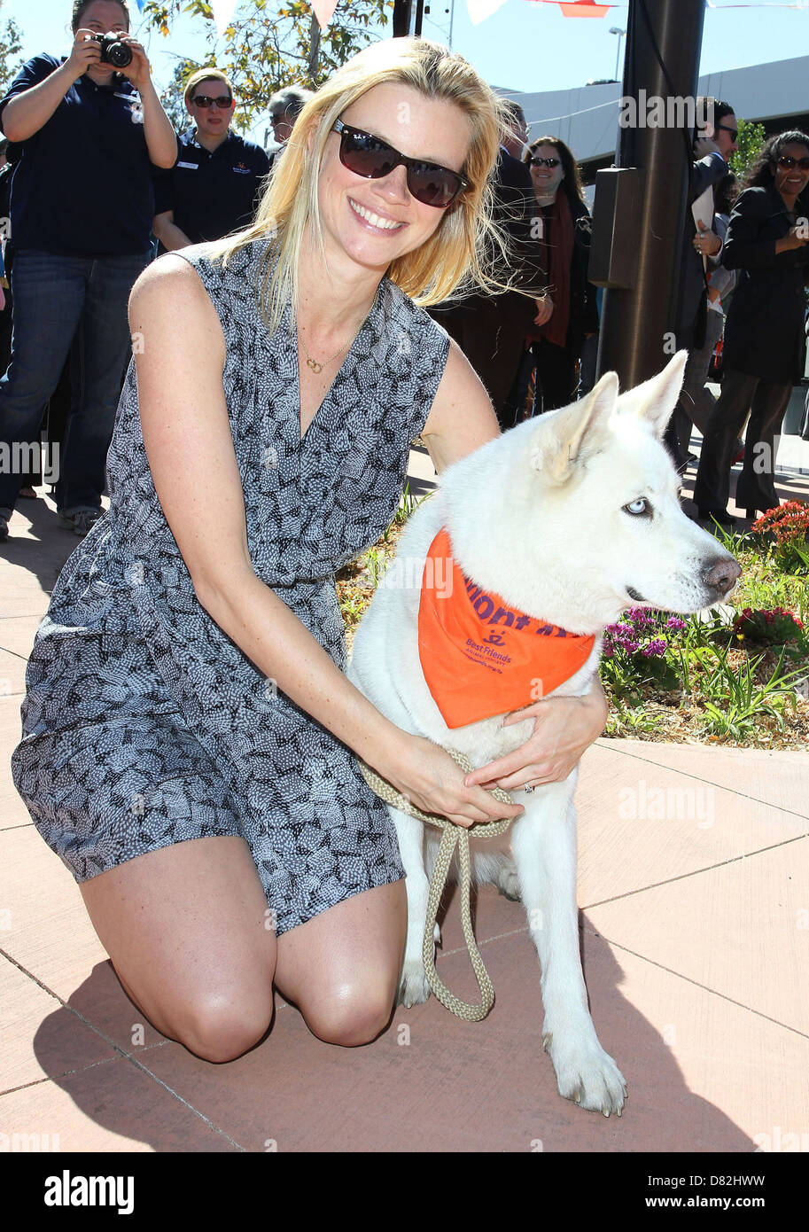 Amy Smart Best Friends Animal Society Pet Adoption and Spay/Neuter ...