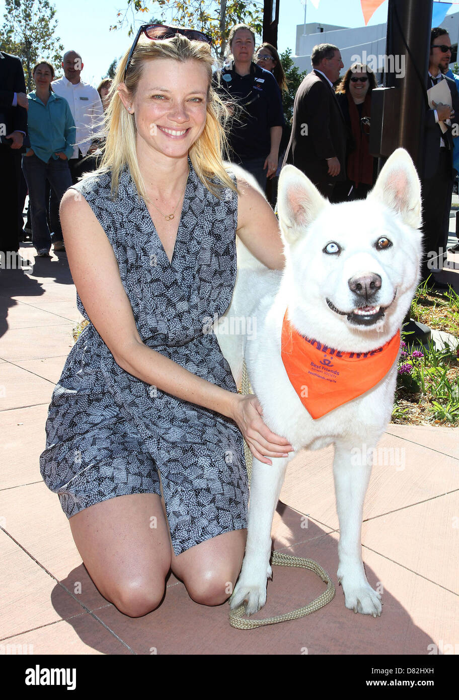 Amy Smart Best Friends Animal Society Pet Adoption and Spay/Neuter ...