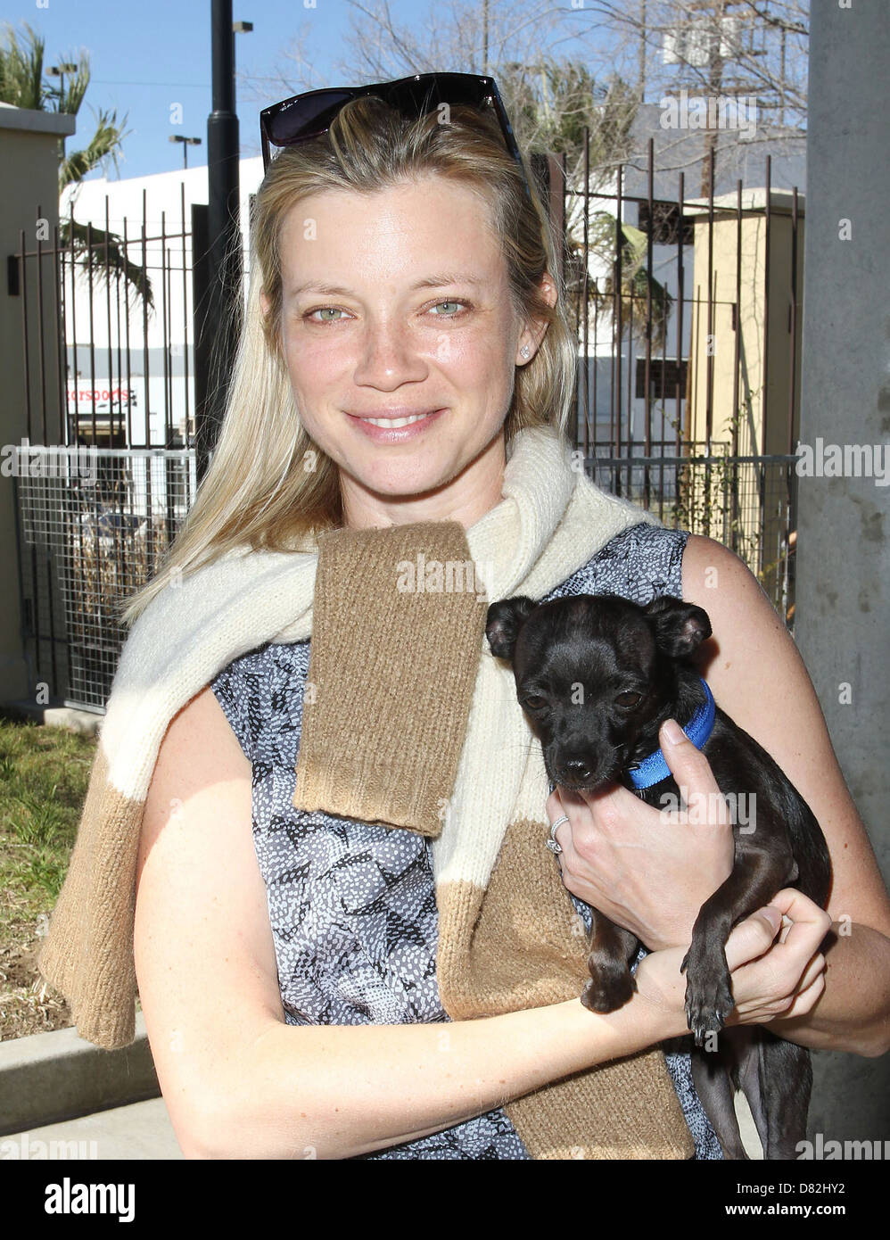 Amy Smart Best Friends Animal Society Pet Adoption and Spay/Neuter ...