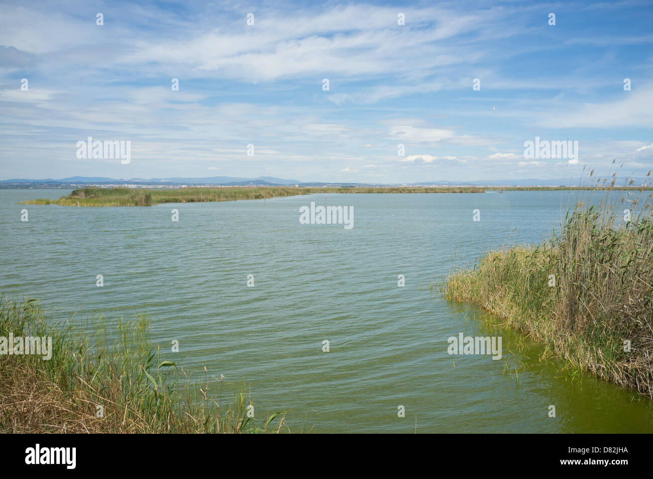 Classic La Albufera landscape with its calm lagoon waters Stock Photo ...